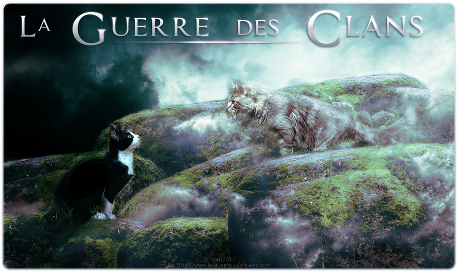 Fond d'écrans LGDC :: La-guerre-des-clans-team